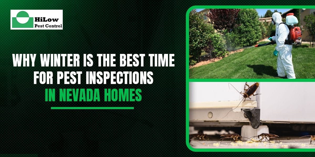 Why Winter Is the Best Time for Pest Inspections in Nevada Homes